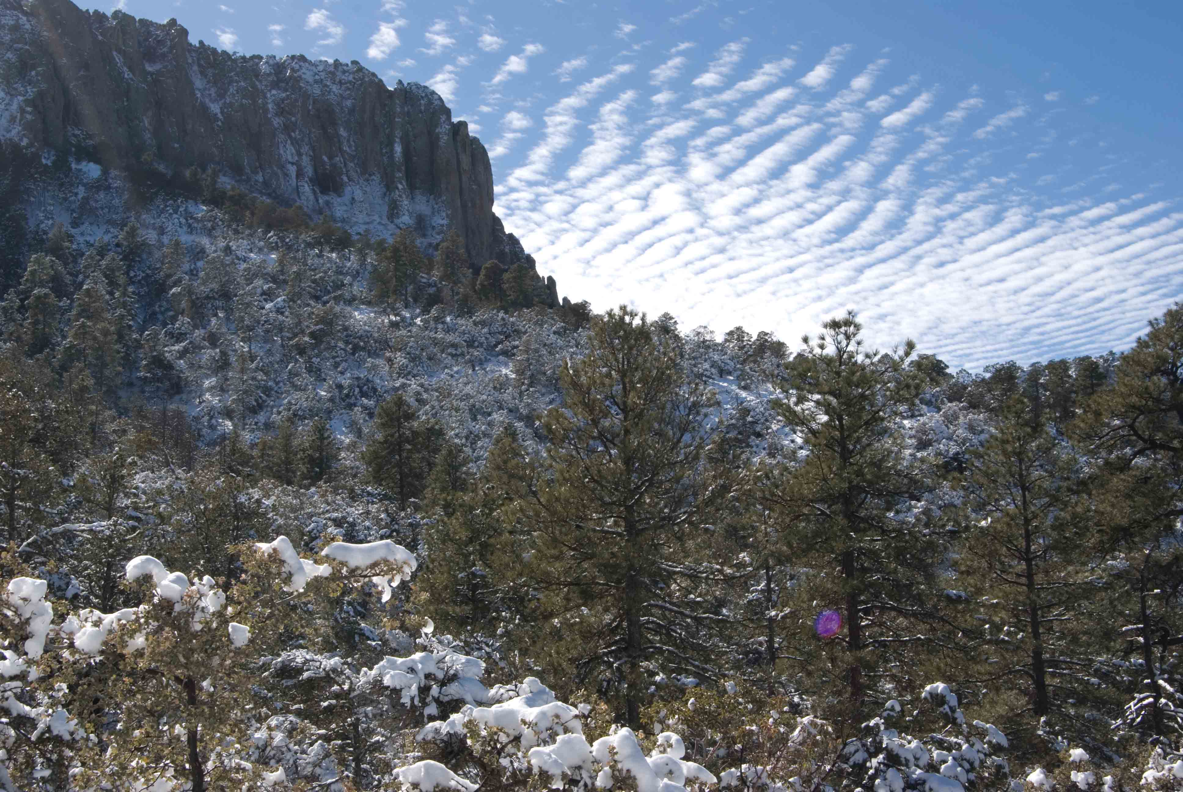 Snow in the Davis Mountains Preserve – Jeff Davis County, Texas – 25 ...